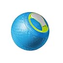 Amazon.com : Yaylabs SoftShell Ice Cream Ball, Blueberry, quart ...