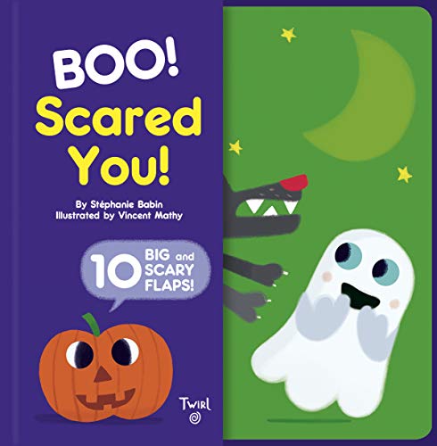 Boo! Scared You!: Includes 10 Big and Scary Flaps (Big Flaps, 2): Babin ...