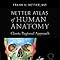 Netter Atlas of Human Anatomy: Classic Regional Approach (hardcover ...