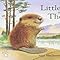 Little Beaver and the Echo: MacDonald, Amy: 9780698116283: Amazon.com ...