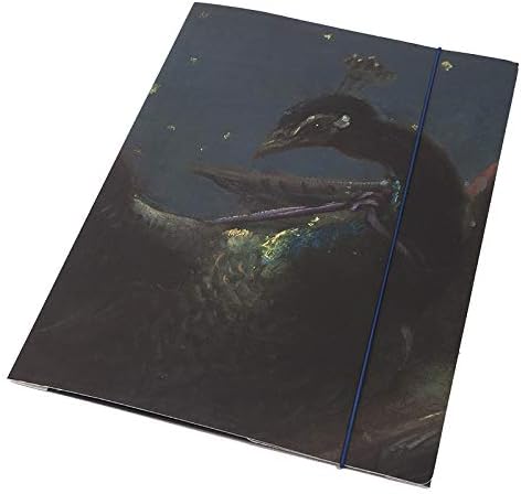 Meadow Museum Folder “The Birth of The Milky Way” – BigaMart