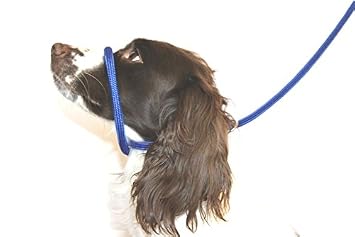 Dog & Field Figure 8 Anti Pull Lead / Halter / Head Collar (BLUE) - One ...