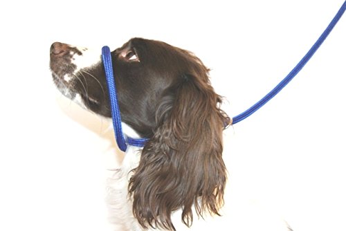 Dog & Field Figure 8 Anti Pull Lead / Halter / Head Collar (BLUE) - One ...