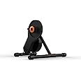 Jet Black Victory Smart Trainer with Zwift Cog & Click V2, Advanced ...
