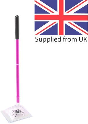 Katcha® Bug Spider Catcher - Limited Edition PINK - Trap and catch ...