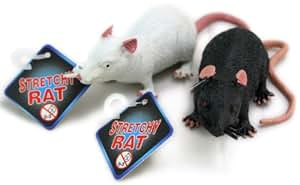 Amazon.com: Stretchy Rat Toy Assorted Colours: Beauty