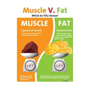 Amazon.com: Nutrition Education Store Muscle Versus Fat Poster - 1 ...