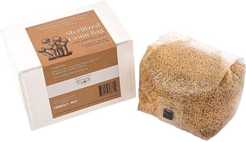 Sterilized Grain Bag with Injection Port | Fast Colonization, Robust ...