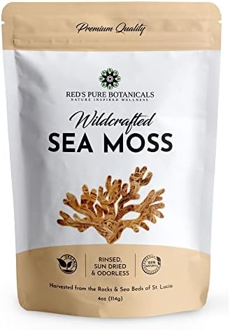 Wildcrafted Sea Moss - Healthy Irish, Raw Sea Moss from Rocks & Sea ...