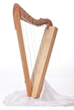 Amazon.com: Roosebeck 22-String Heather Harp w/Chelby Levers, Extra ...