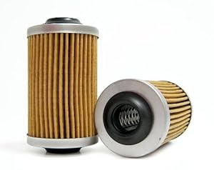 Amazon.com: ACDelco PF2129 Professional Engine Oil Filter: Automotive