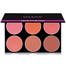 Amazon.com : SHANY Masterpiece 6 Colors Large Blush Palette/Refill ...