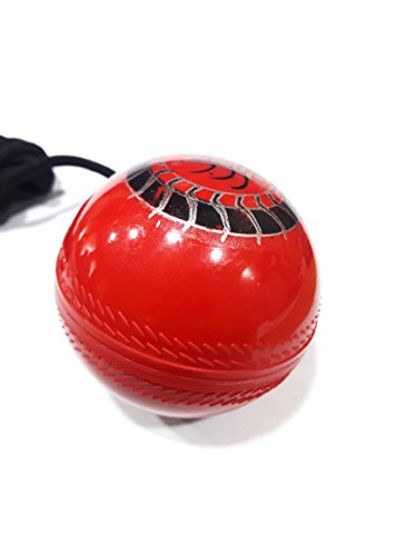 Storite Sports Synthetic Hanging Cricket Ball with Rope for Knocking ...