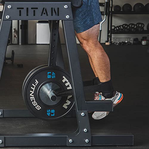 Titan Fitness H-PND, Reverse Hyperextensions Lower Body Machine, Rated ...