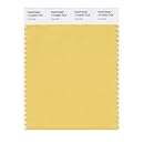PANTONE Smart 13-0932X Color Swatch Card, Cornsilk - Wall Decor ...