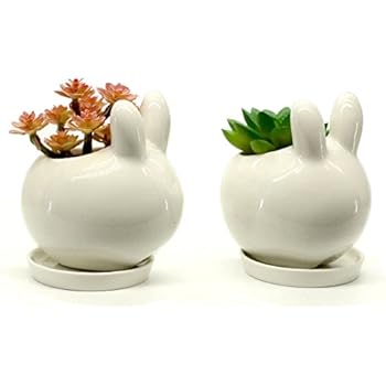 Amazon.com : Decorative Bunny Rabbit Design White Mini Ceramic Plant ...