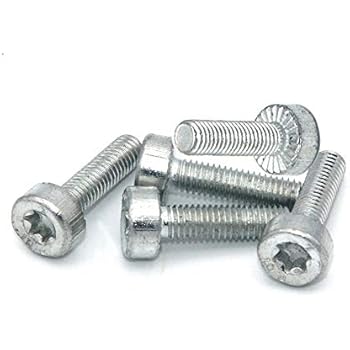 Amazon.com: 10pcs Torx Spline Screw Bolt T27 5mmx18mm M5X18 Fit For ...