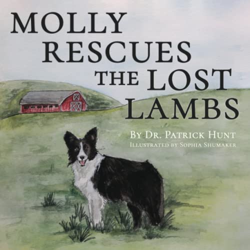 Molly Rescues the Lost Lambs (The Adventures of Molly the Border Collie ...