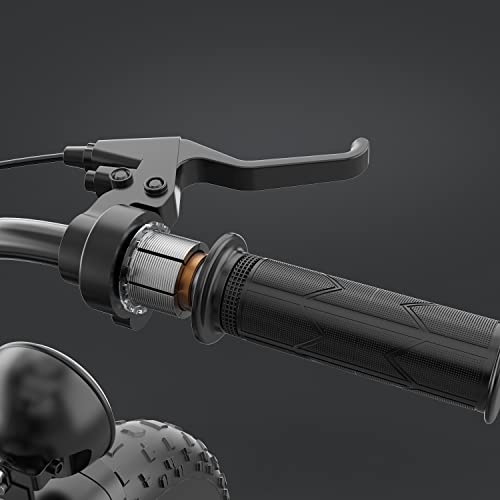 20 inch 1200W Electric Cruiser Bike For Adults, DK200 Electric Dirt ...