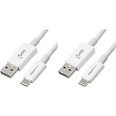 Amazon.com: Amazon Basics USB-C to USB-A 3.1 Gen 2 Adapter Charger ...