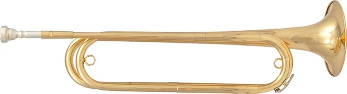 Trompeta natural ftpc61: Amazon.es: Instrumentos musicales