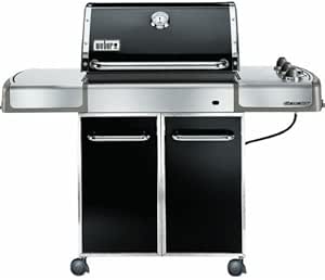 Amazon.com: Weber 3841301: Kitchen & Dining