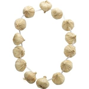 ONION GARLIC GARLAND NECKLACE FRENCH OR VAMPIRE SLAYER FANCY DRESS ...