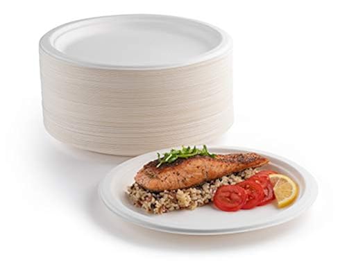 brheez 9 in. Disposable Plates Paper Plates Alternative Compostable ...