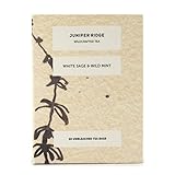 Juniper Ridge Douglas Fir Spring Tip Tea