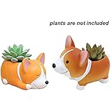 Amazon.com: Cuteforyou Cute Animal Shaped Cartoon Home Decoration ...