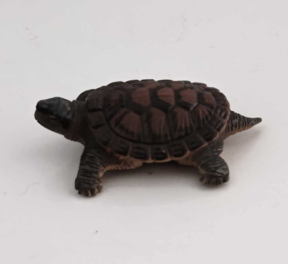 Mua Japanese Sea Turtle Figure trên Amazon Nhật chính hãng 2024 | Fado