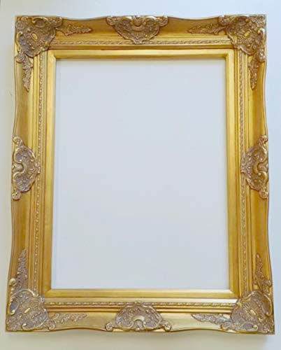 Amazon.com - TP Picture Frame- 16x20 (Frame Only) Vintage Antique-Style ...