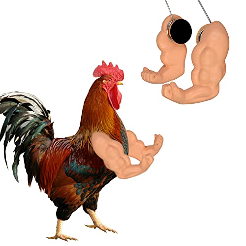 FUAMEY Muscle Chicken Arms Toys for Chickens to Wear, Funny Costume ...