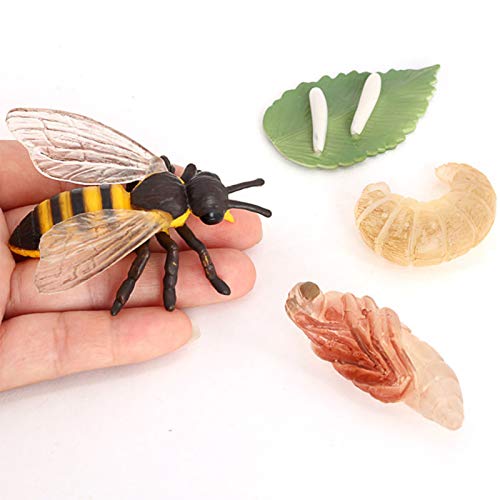 Hvogvok Bee Growth Cycle Set, Lifelike Animal Figures, Educational Kids ...