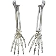 Amazon.com: One Pair Halloween Plastic Skeleton Arm Life Size Halloween ...