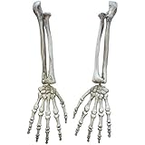 Amazon.com: Skeleton Arms- Life-Size- Pair- 2nd Class: Home & Kitchen