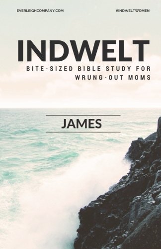 Indwelt Bible Study Guide: Bite-Sized Study for Wrung-Out Moms: Baker ...