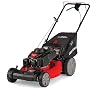 CRAFTSMAN M215 21-Inch 3-in-1 High-Wheeled FWD Self-Propelled Gas ...