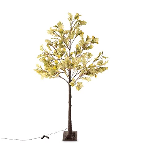 Mua Plow & Hearth Indoor/Outdoor Electric Lighted Moss Oak Tree, LED ...