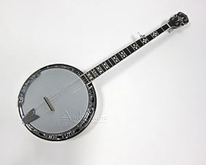 Amazon.com: Gold Tone BG-150F Banjo: Musical Instruments