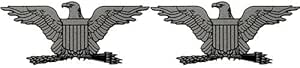 Amazon.com: Officer's Rank O-6 Full Bird Captain Colonel All Services ...