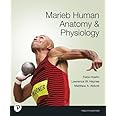 Marieb Human Anatomy & Physiology, 12th edition: Katja Hoehn ...