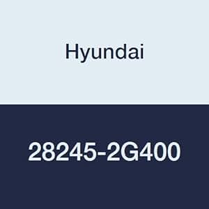 Amazon.com: Genuine Hyundai (28245-2G400) Exhaust Manifold Hose: Automotive