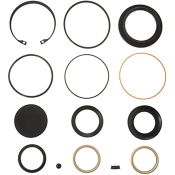 Amazon.com: R. H. Sheppard 5545741 Sector Shaft Kit with Snap Ring/L ...