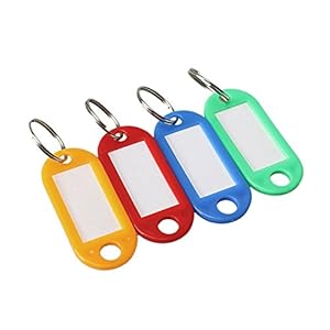 Amazon.com : Vktech 100 Pcs Plastic Key Tags ID Label Keyring with Key ...