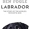 Labrador: The Story of the World's Favourite Dog: Amazon.co.uk: Ben ...