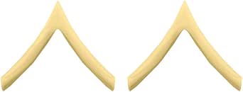Amazon.com: Army PV2 E-4 Pin-on Rank Insignia: Clothing, Shoes & Jewelry