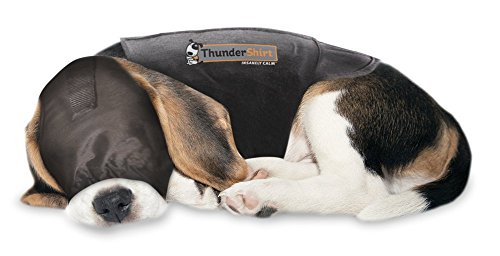 Купить ThunderCap Calming Cap For Dogs в интернет-магазине Amazon с ...