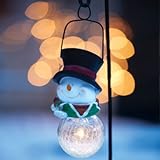 Amazon.com: SNOWMAN SOLAR LIGHT WITH CRACKLED GLASS & SHEPHERDS HOOK ...
