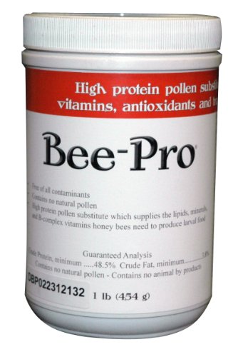 Fat Winter Bees Why Beekeepers Love Them Carolina Honeybees